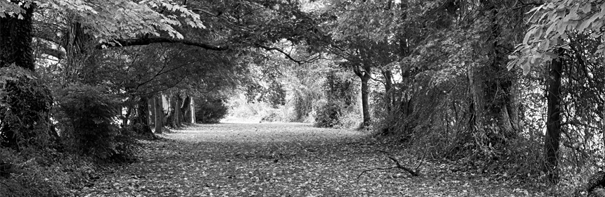 Deconstructing Grief